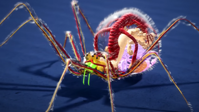 Exploring the Secrets of the Oldest Footprints Ever Found - Kuyza